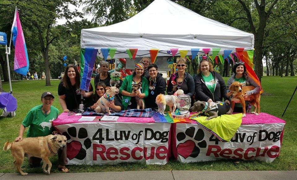 About 4 Luv of Dog Rescue - 4 Luv of Dog Rescue