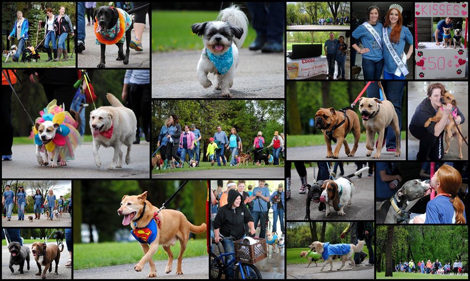 About 4 Luv of Dog Rescue - 4 Luv of Dog Rescue